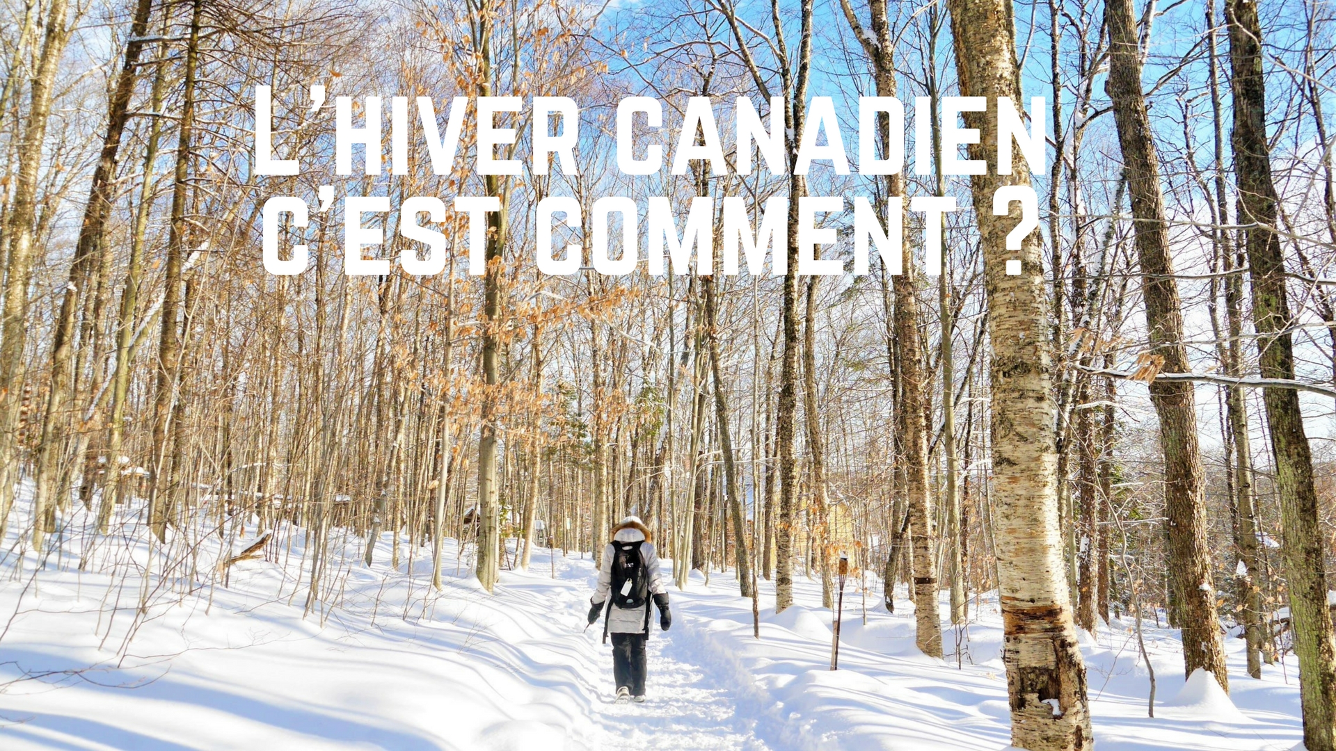 CANADA // L'hiver canadien, c'est comment ? - Arpenter le chemin
