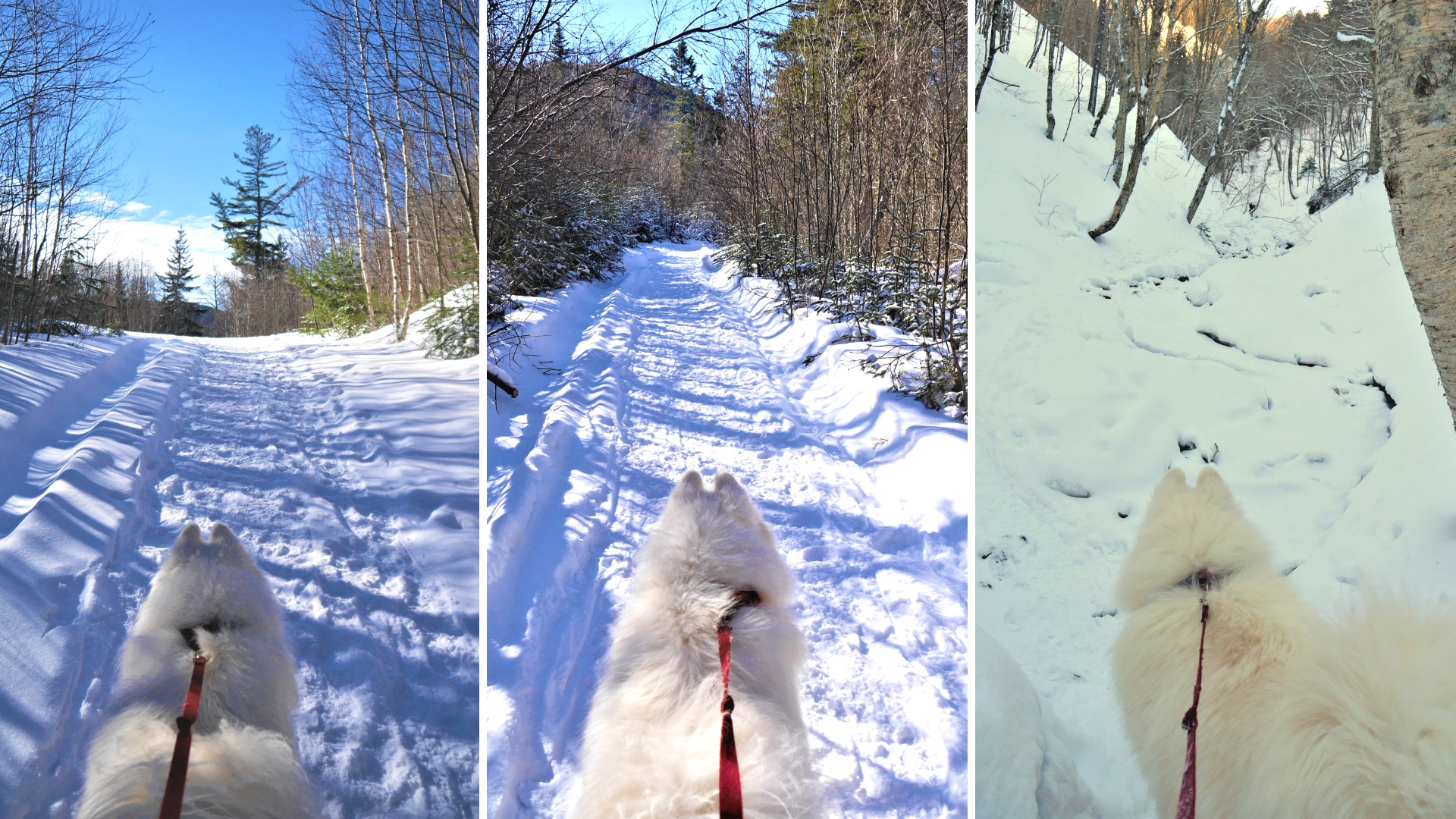 NOUVEAU-BRUNSWICK // L'amphithéâtre de glace de Parlee Brook