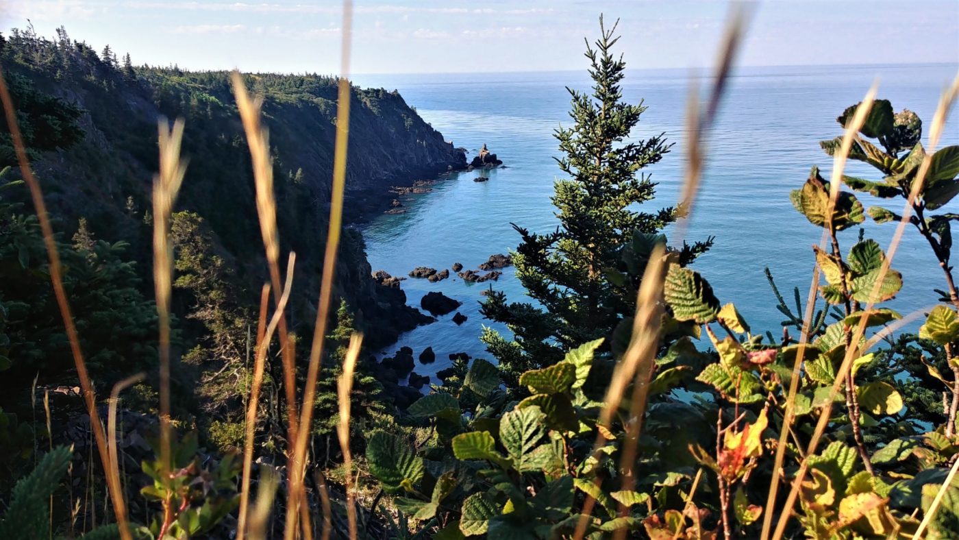 NOUVEAU-BRUNSWICK // Grand Manan, le guide complet