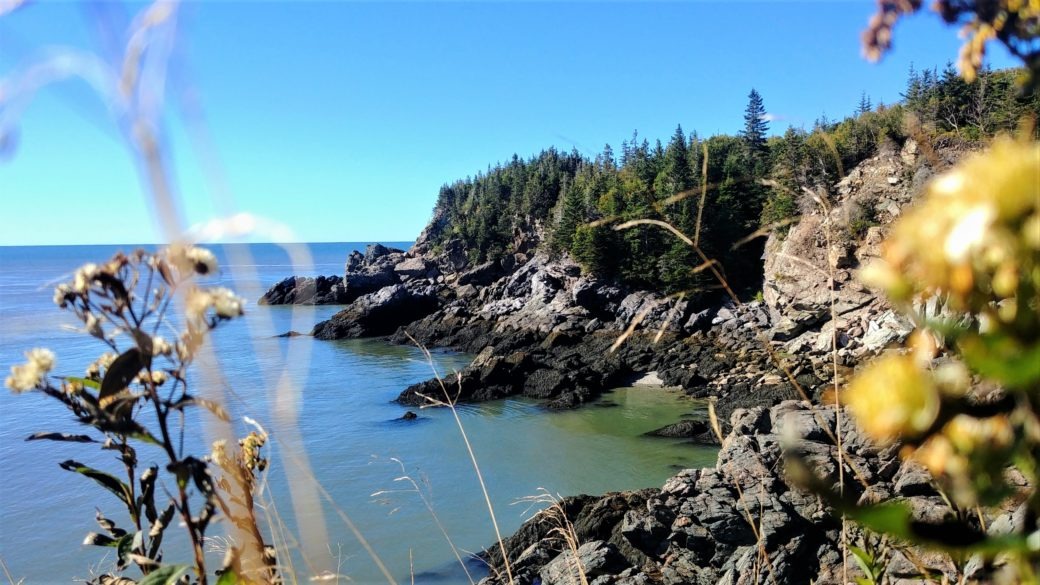 NOUVEAU-BRUNSWICK // Split Rock Trail, randonnée près de Saint-John