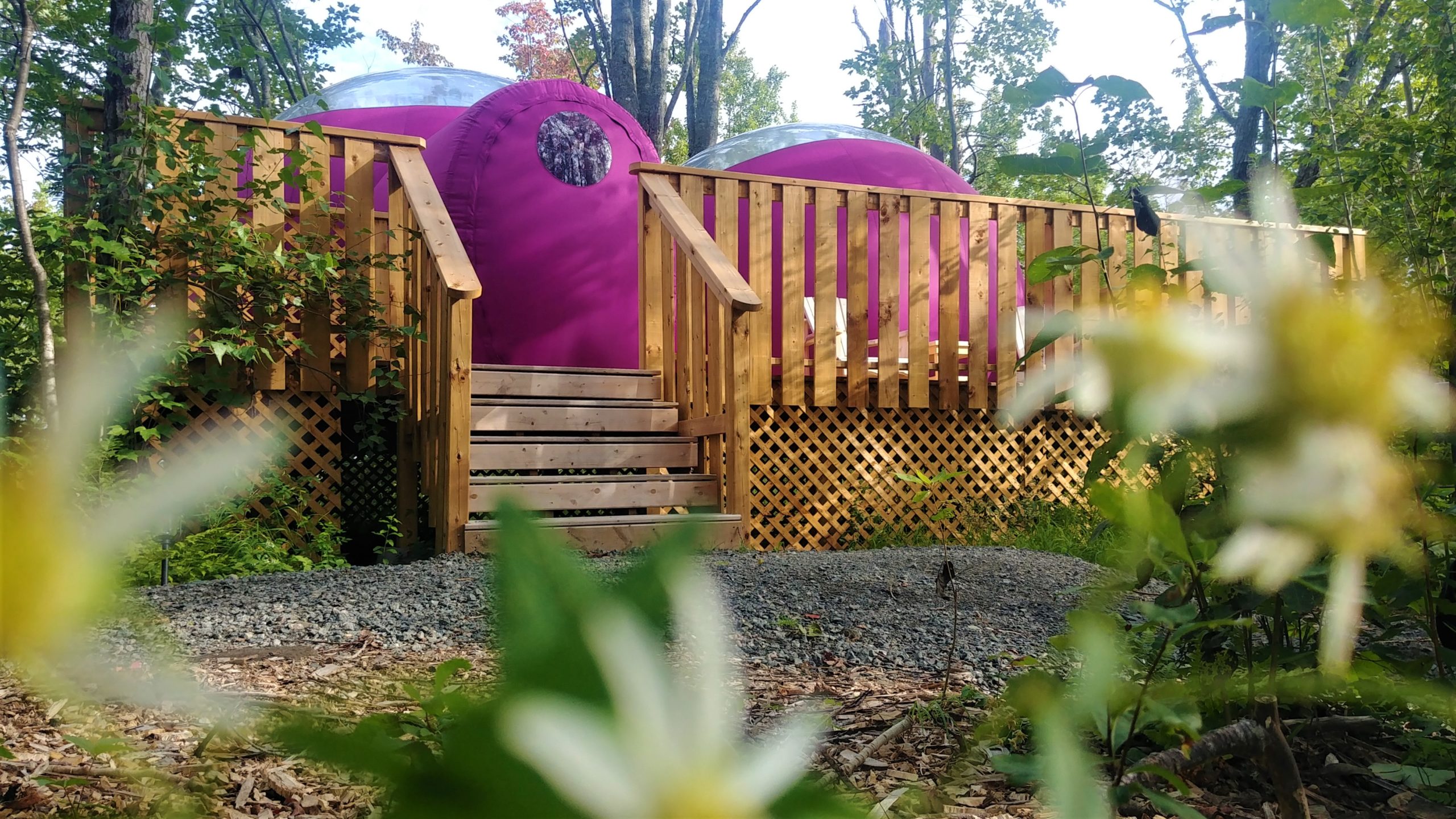 NOUVEAU-BRUNSWICK // Idées d'activités à Shediac - Arpenter le chemin