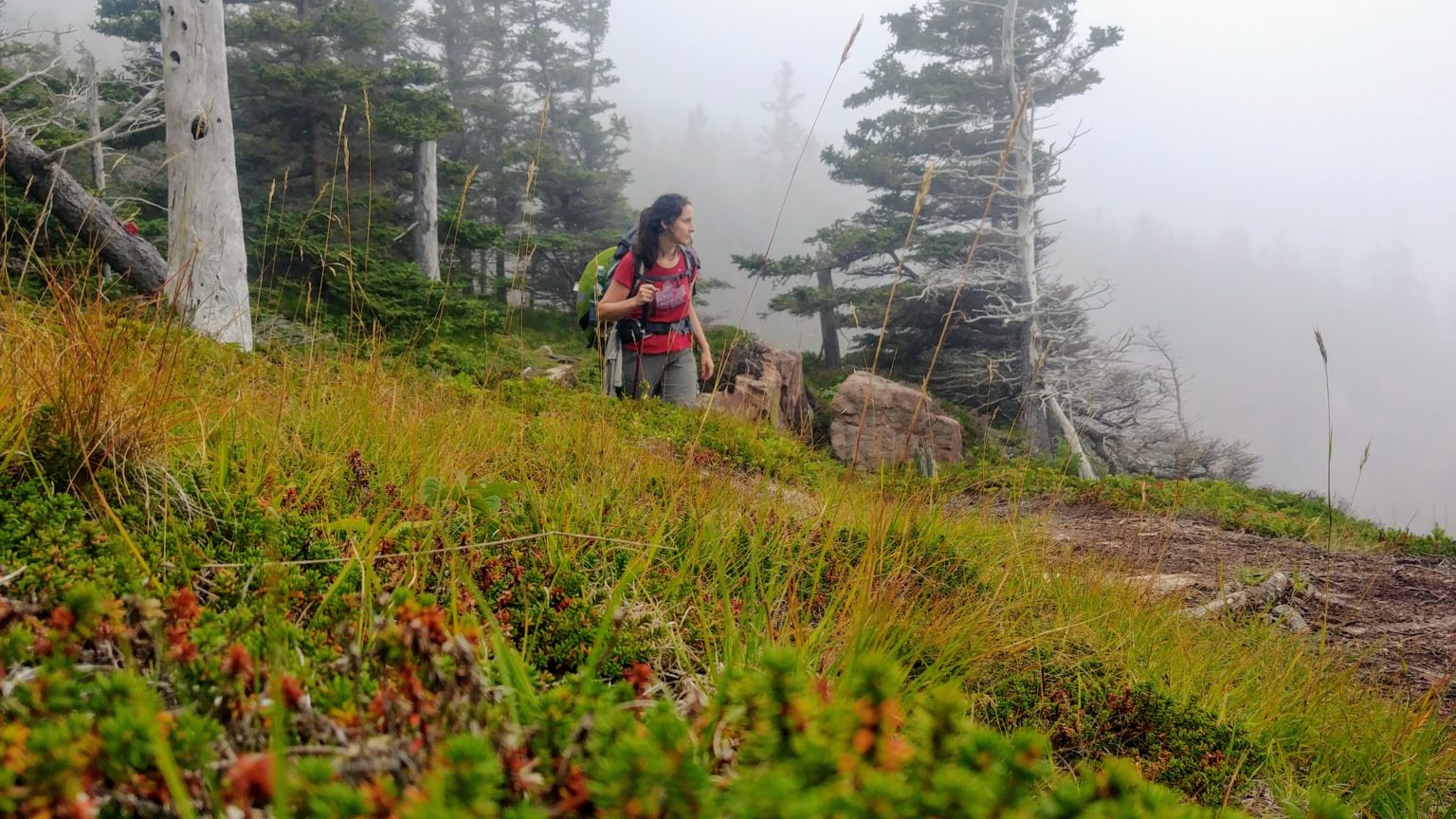 NOUVELLE-ÉCOSSE // Le sentier du cap Chignecto