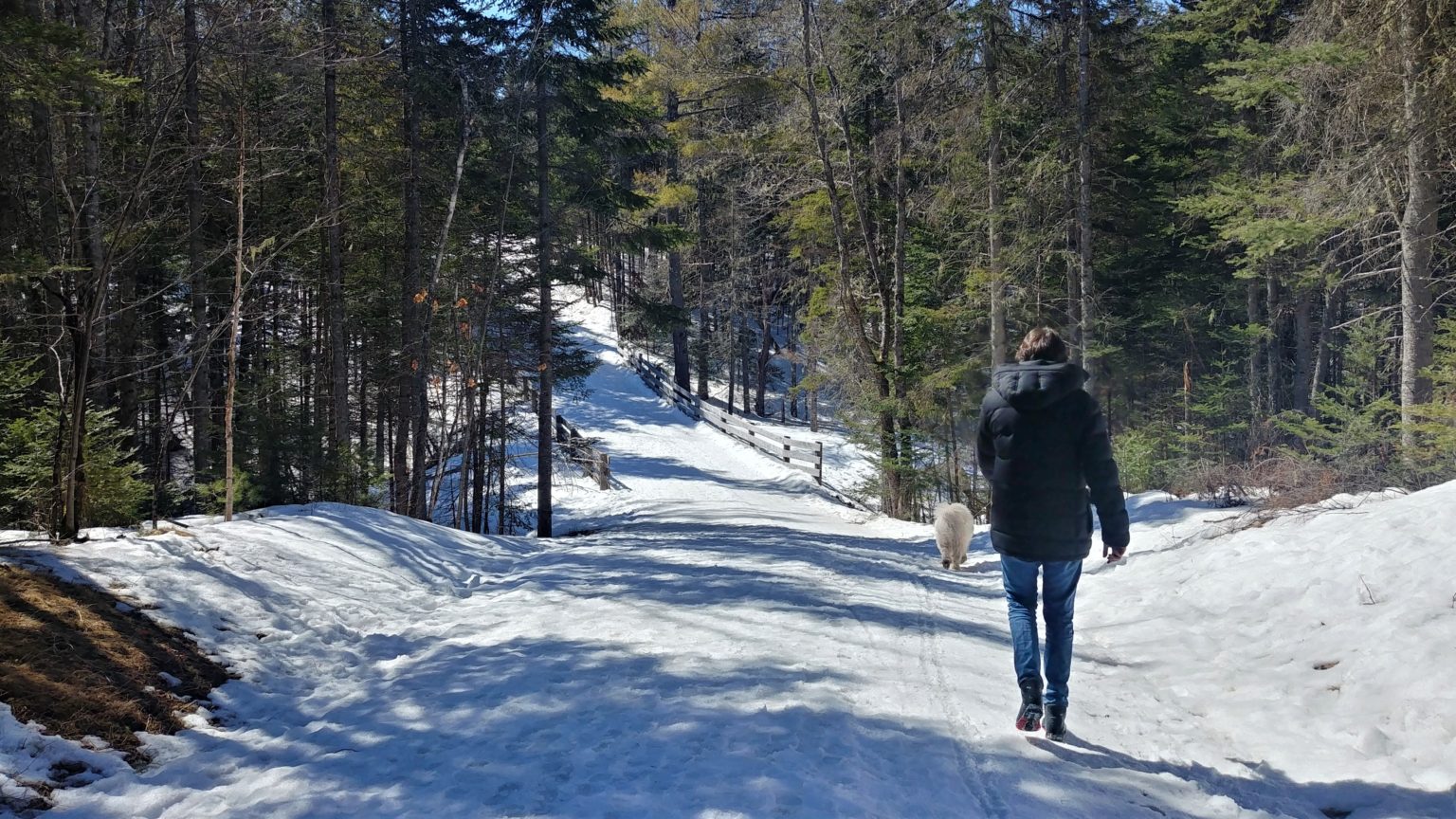 NOUVEAU-BRUNSWICK // Où randonner dans la neige à Moncton