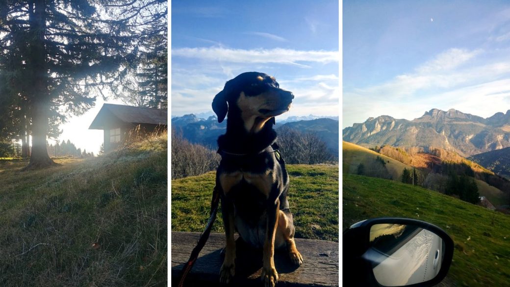 FRANCE // Le mont Forchat, randonnée avec vue sur le Mont-Blanc